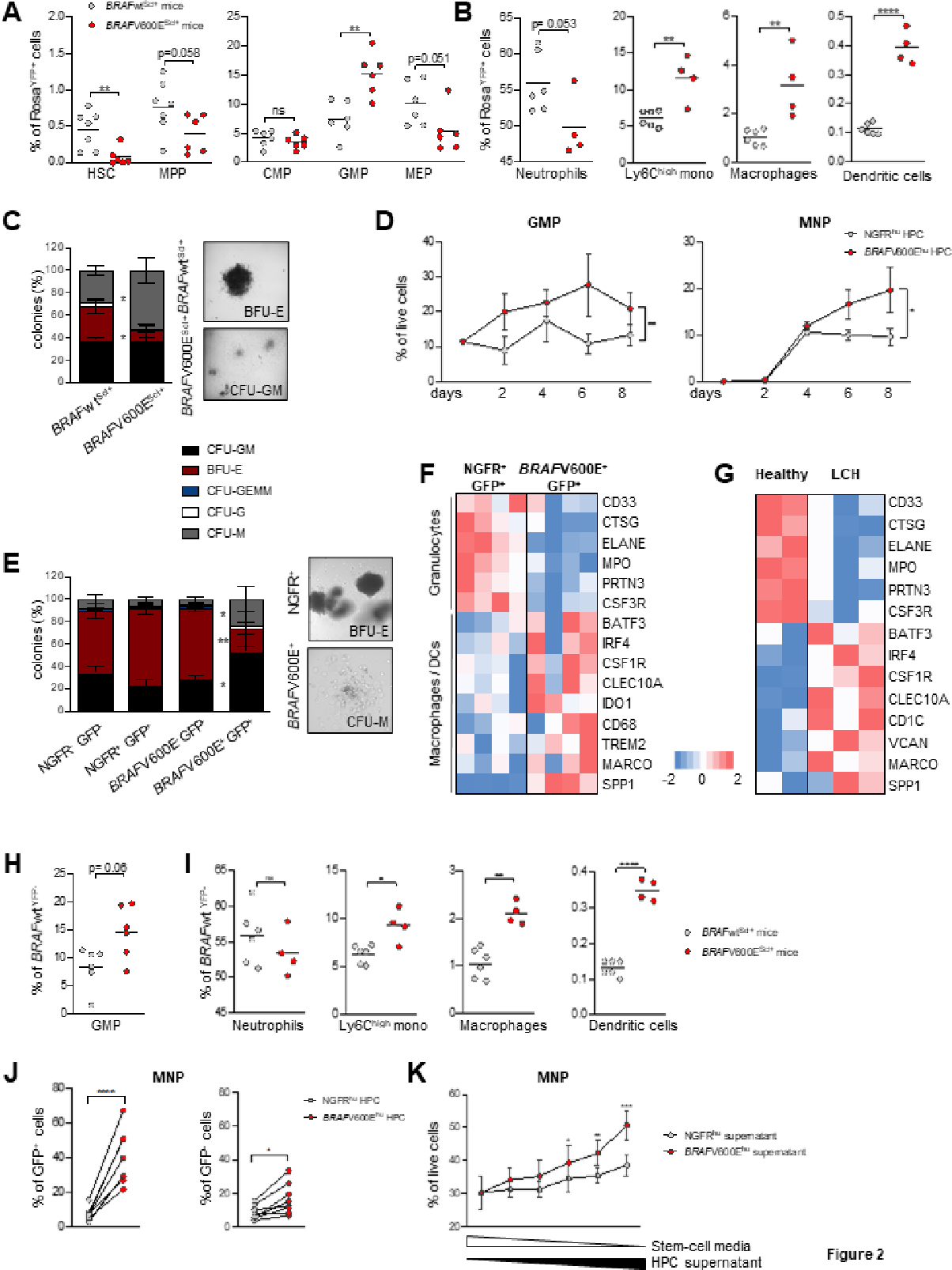 Pdf Brafv600e Induced Senescence Drives Langerhans Cell Histiocytosis