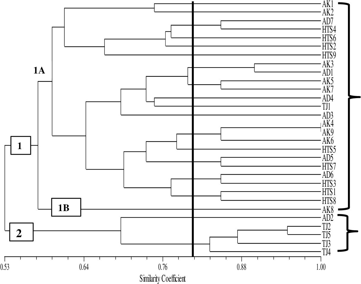 Figure 22 From Nodulation Nitrogen Fixation And Diversity Of The