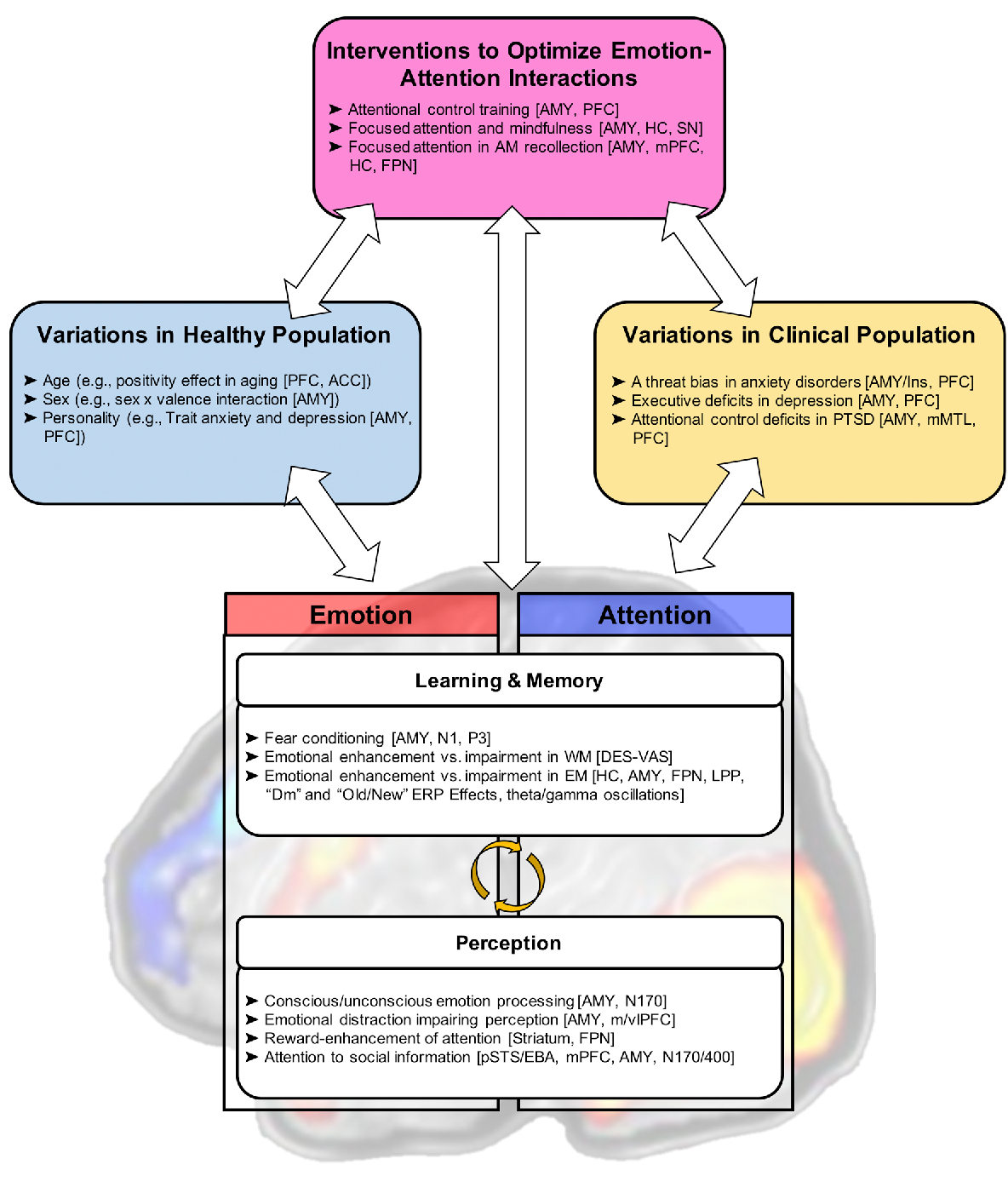 Figure 1 From Neural Correlates Of Emotion Attention Interactions From