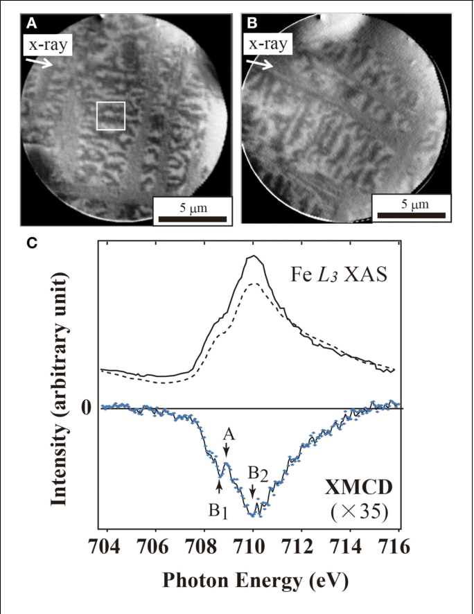 Figure 1 From Striped Domains Of Coarse Grained Magnetite Observed By X