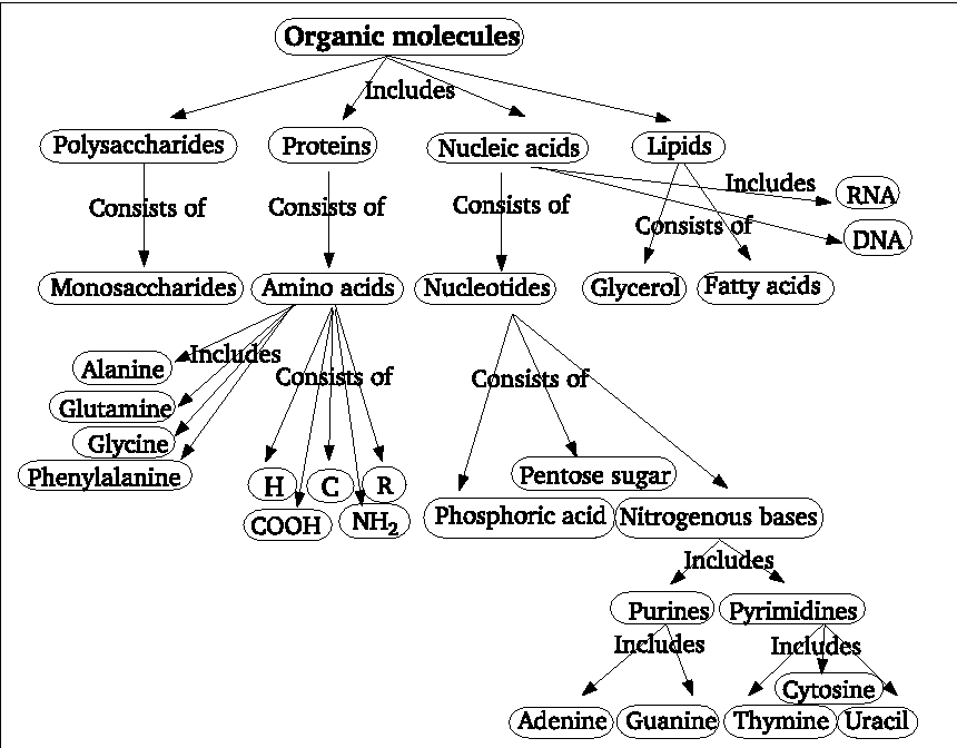 Organic Molecule Concept Map Interactive Map