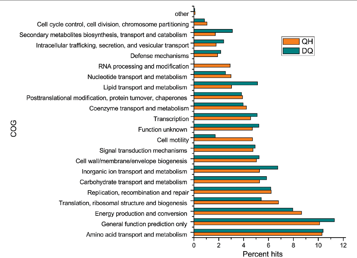 Figure 1 From Species Divergence Vs Functional Convergence