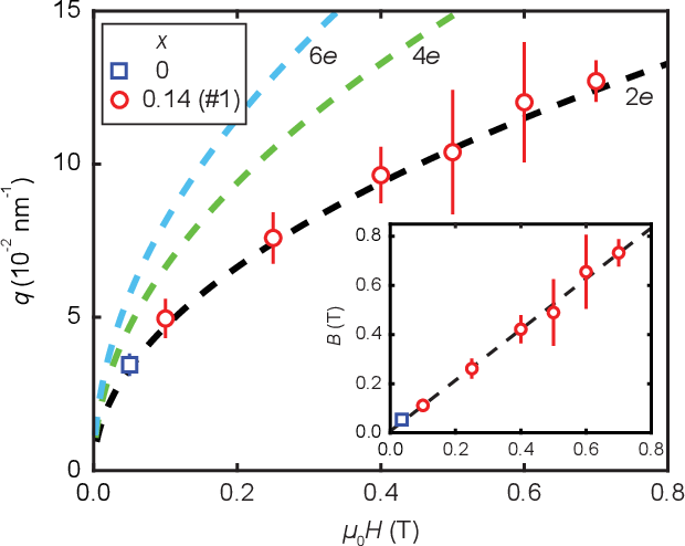 Figure 1 From Conventional Superconductivity In The Doped Kagome