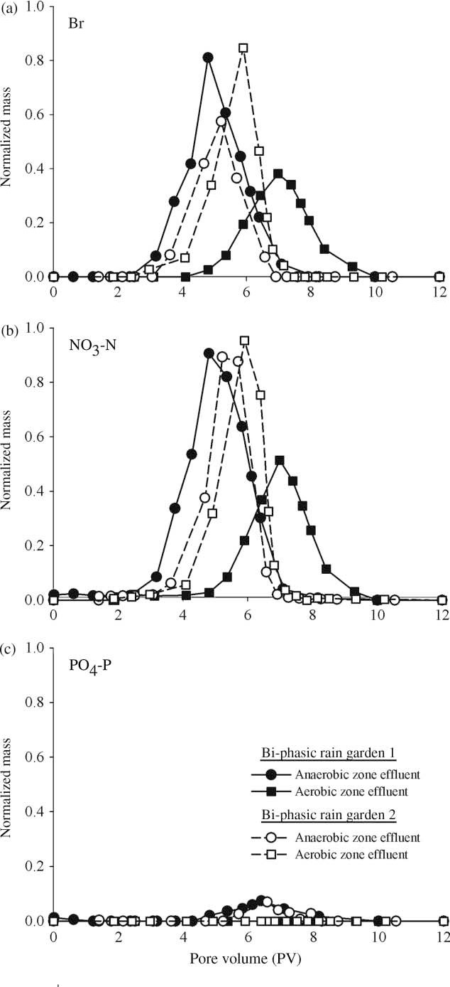 Figure 1 From Design And Hydraulic Characteristics Of A Field Scale Bi