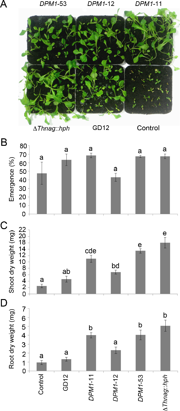 Figure 48 From Engineering The Biological Control And Plant Growth