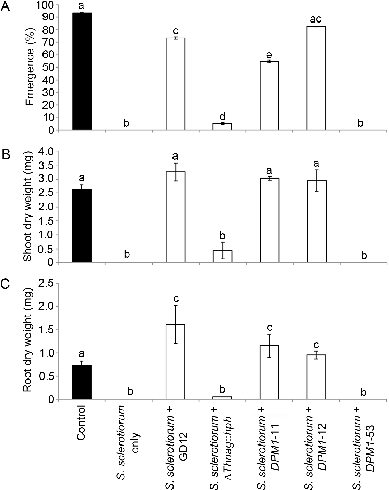 Figure 48 From Engineering The Biological Control And Plant Growth