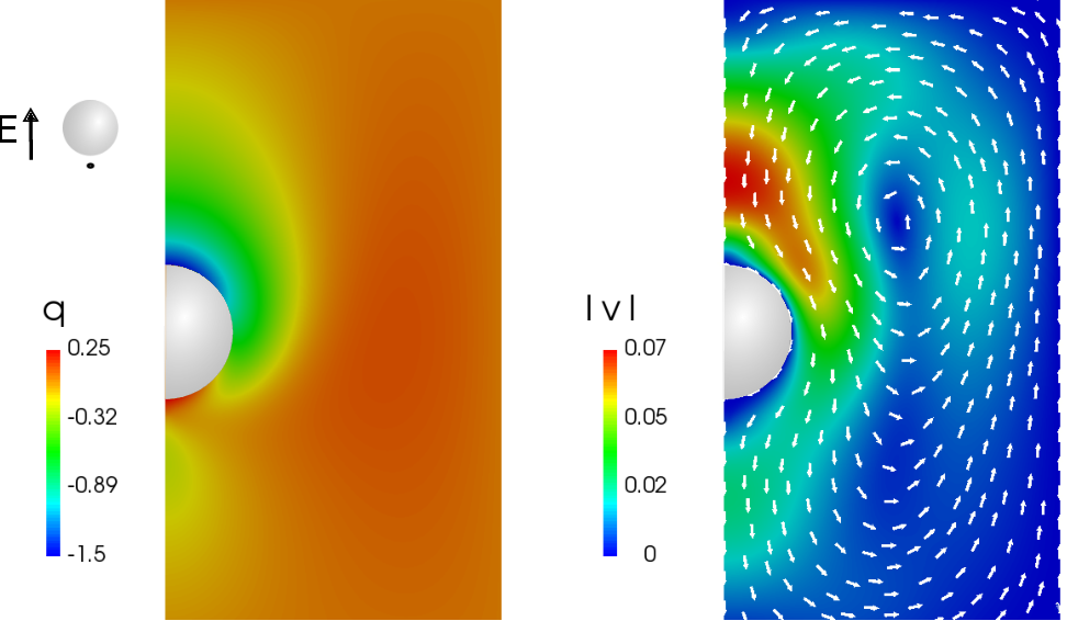 Figure 2 From Q Tensor Model For Electrokinetics In Nematic Liquid