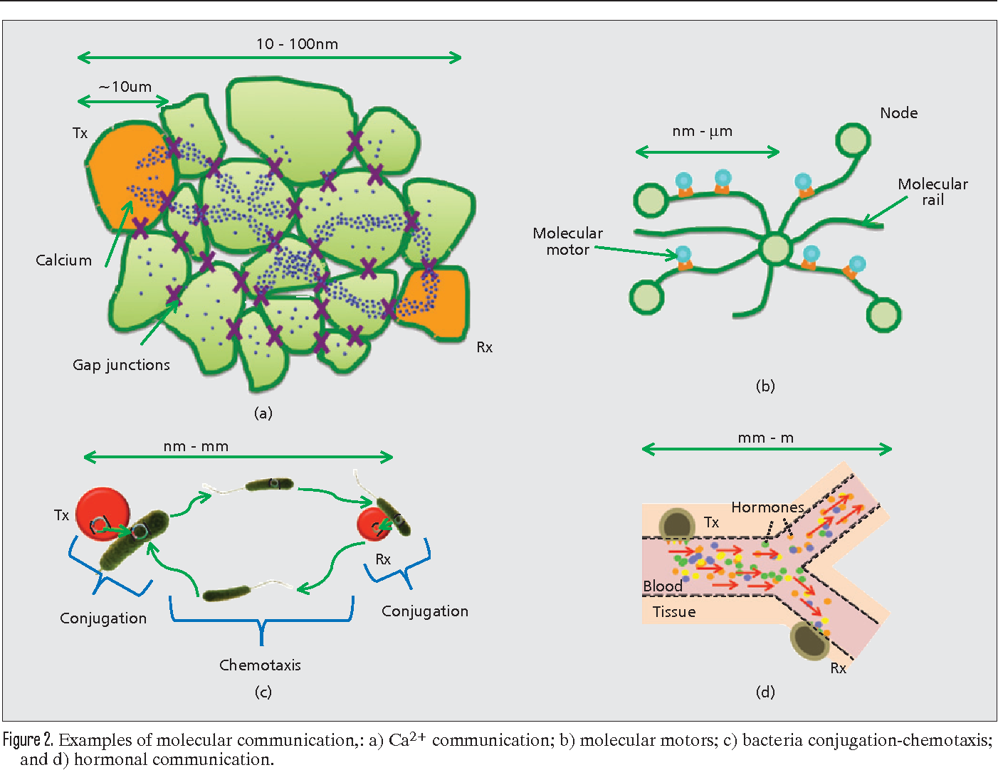 Pdf The Internet Of Bio Nano Things Semantic Scholar