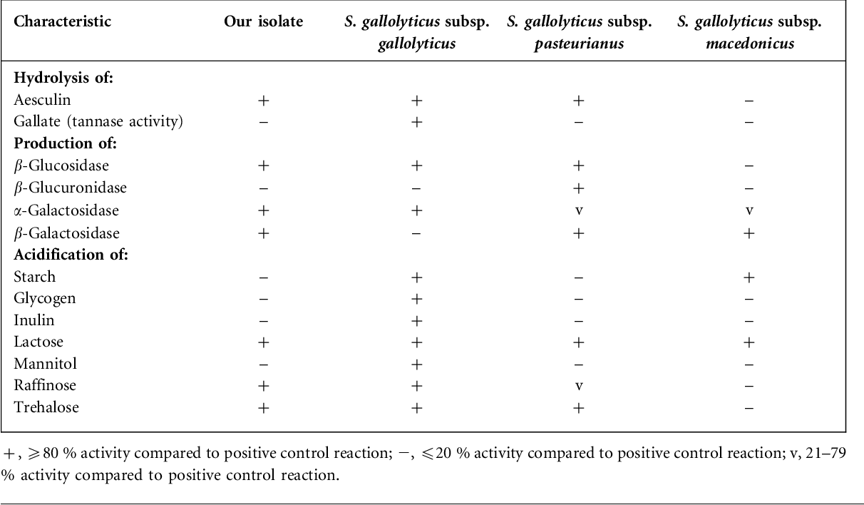 Neonatal Bacterial Meningitis Caused By Streptococcus Gallolyticus