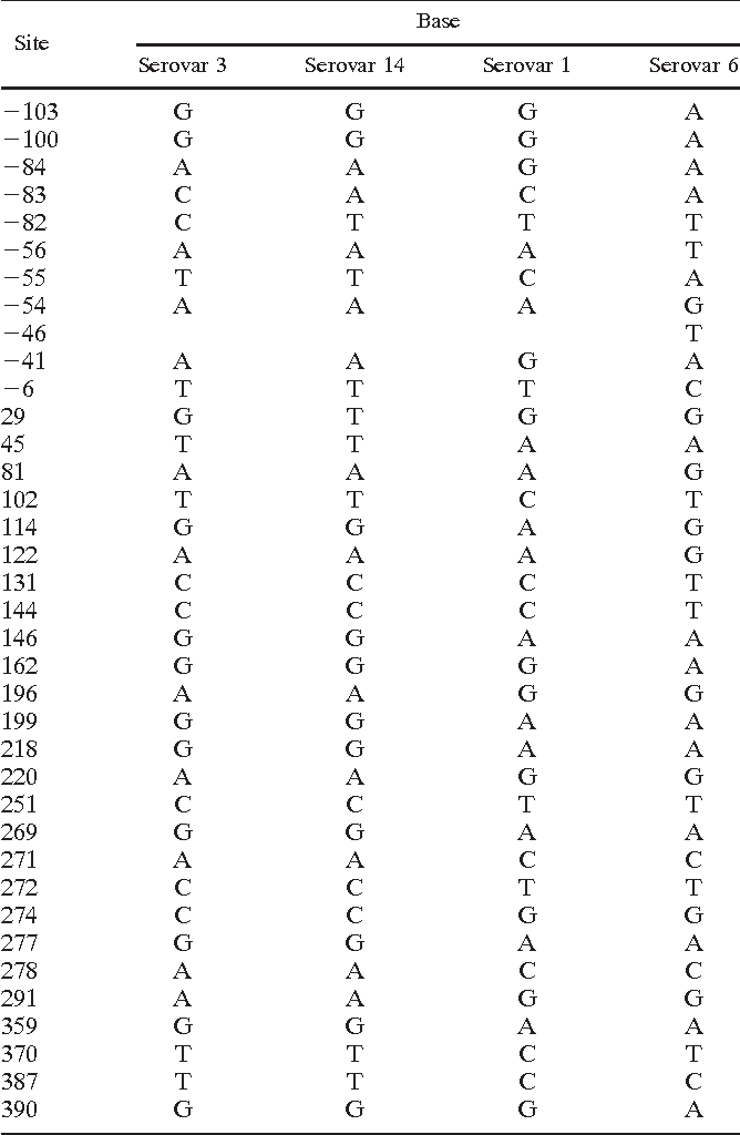 Figure 1 From Comparative Analysis And Serovar Specific Identification