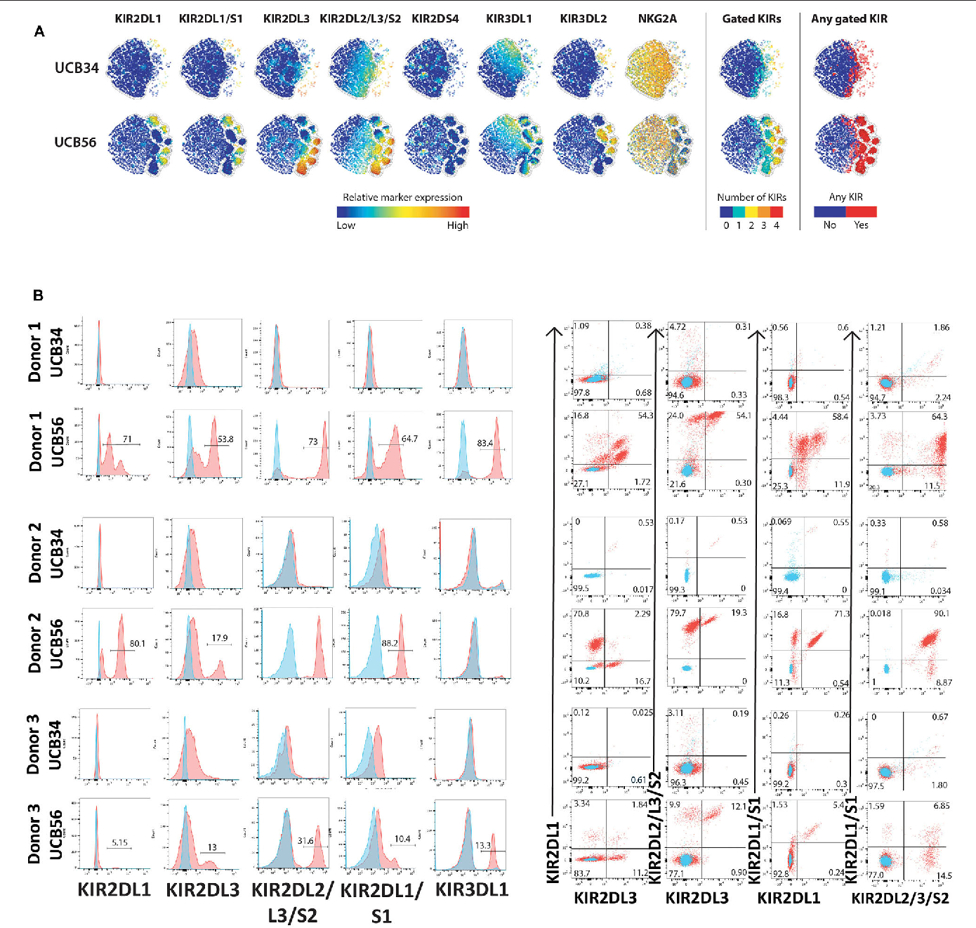 Umbilical Cord Blood And Ipsc Derived Natural Killer Cells Demonstrate