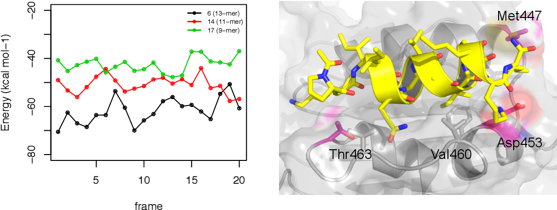 Figure 1 From Improved Proteolytic Stability And Potent Activity