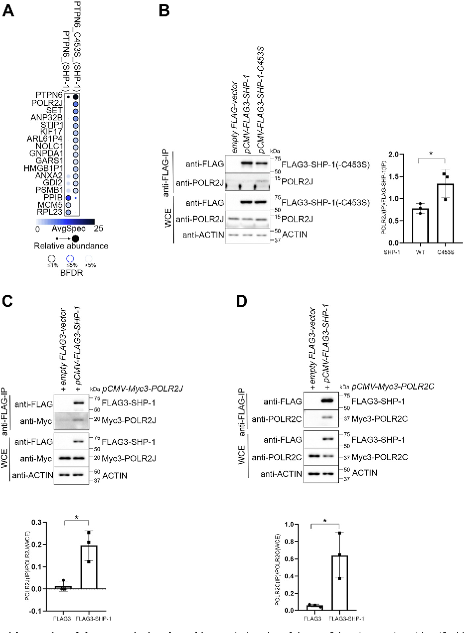 Shp 1 Phosphatase Acts As A Coactivator Of Pck1 Transcription To