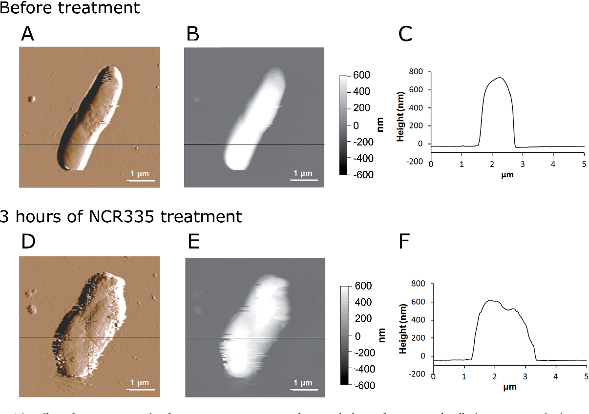 Figure 1 From Interaction Of Cysteine Rich Cationic Antimicrobial