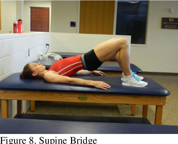 Figure 7 From Functional Rehabilitation Of Low Back Pain With Core