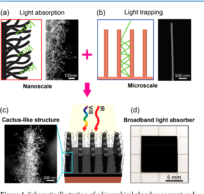 Figure 1 From Ultra Broadband And Omnidirectional Perfect Absorber