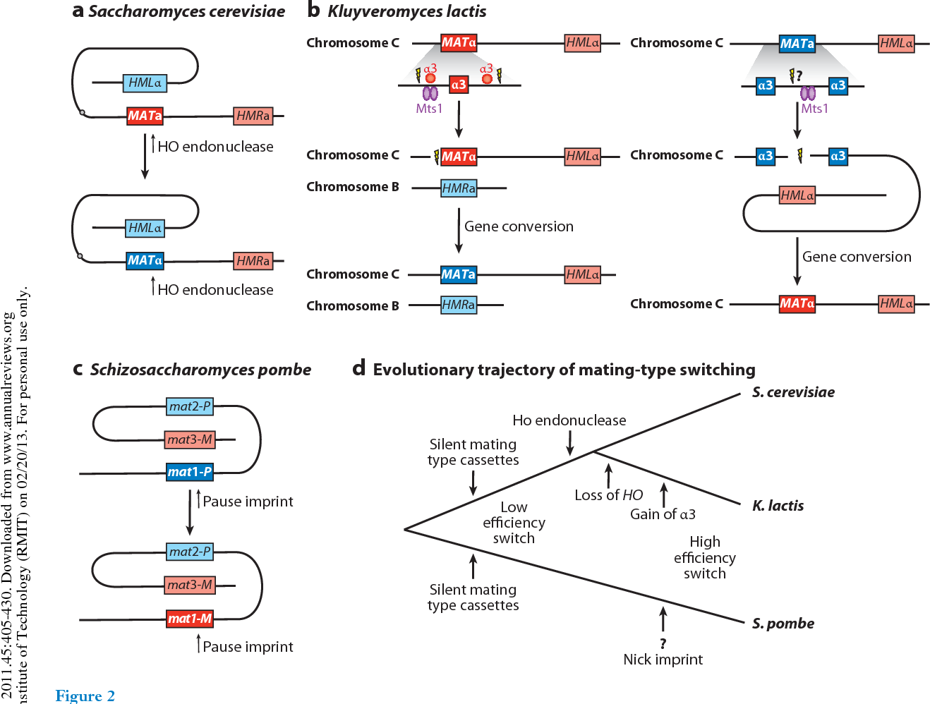 Figure 1 From Sex In Fungi Semantic Scholar