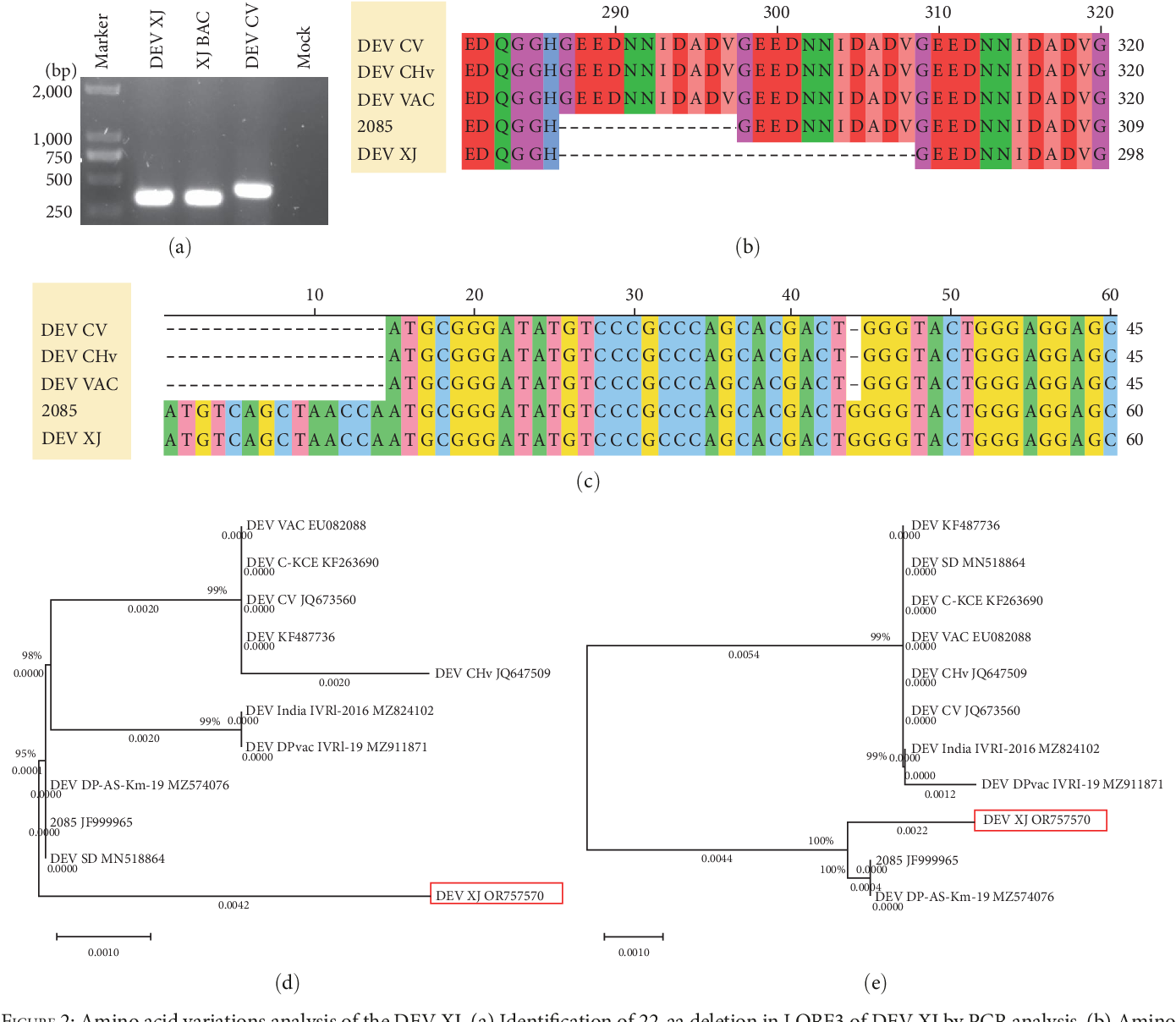 Figure 2 From Complete Genome Sequence And Construction Of An