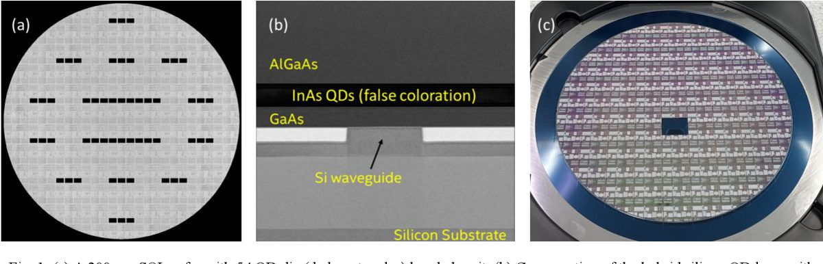 Figure 1 From Feedback Tolerant Quantum Dot Lasers Integrated With