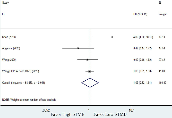 Figure 1 From Predictive Efficacy Of Blood Based Tumor Mutation Burden