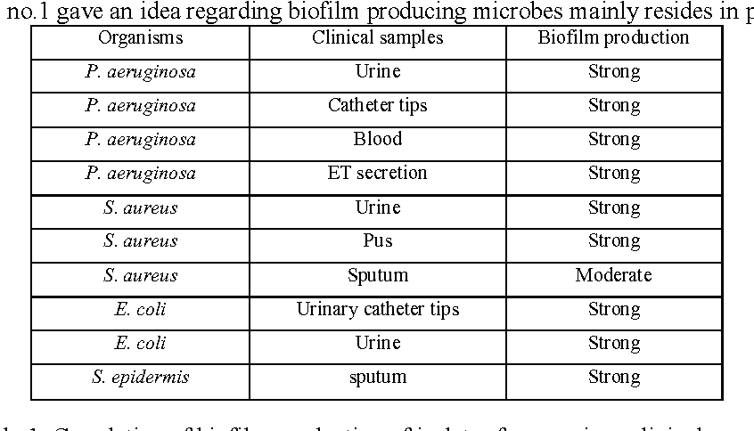 Pdf Staphylococcus Aureus And Pseudomonas Aeruginosa Biofilm