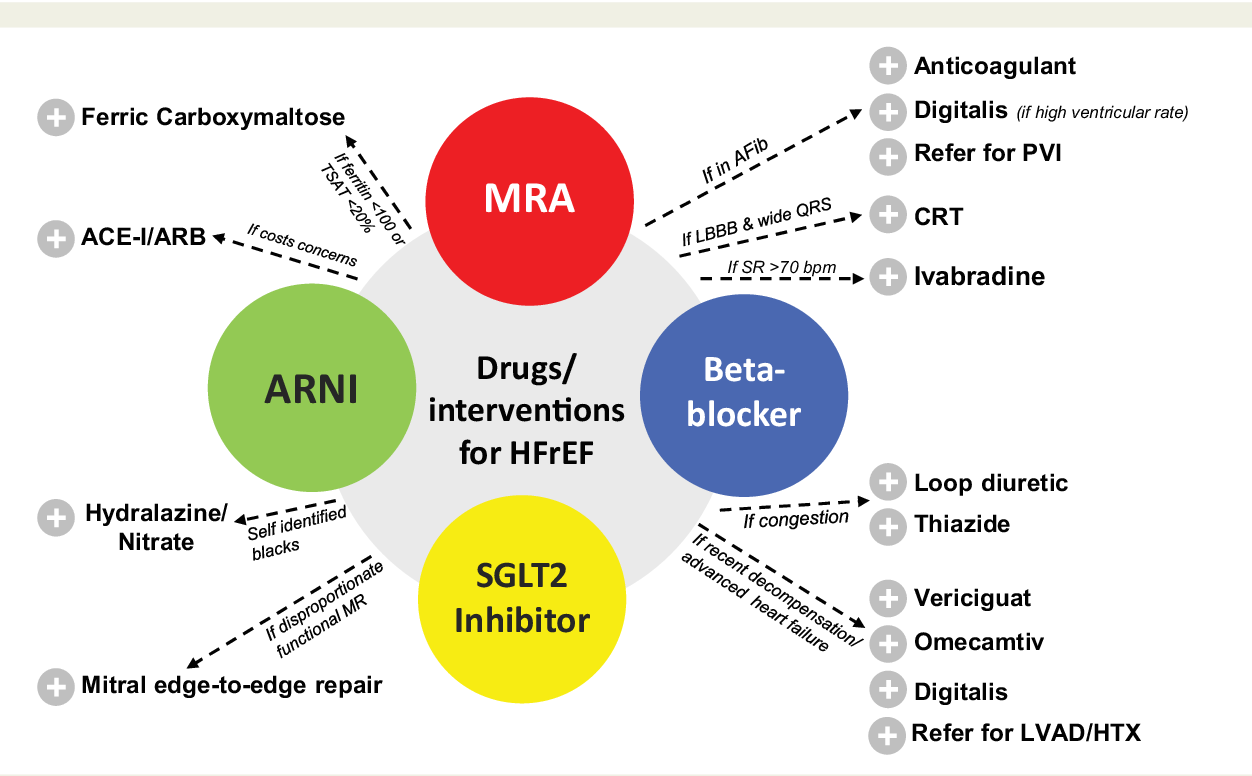 Pdf Heart Failure Drug Treatment The Fantastic Four Semantic Scholar