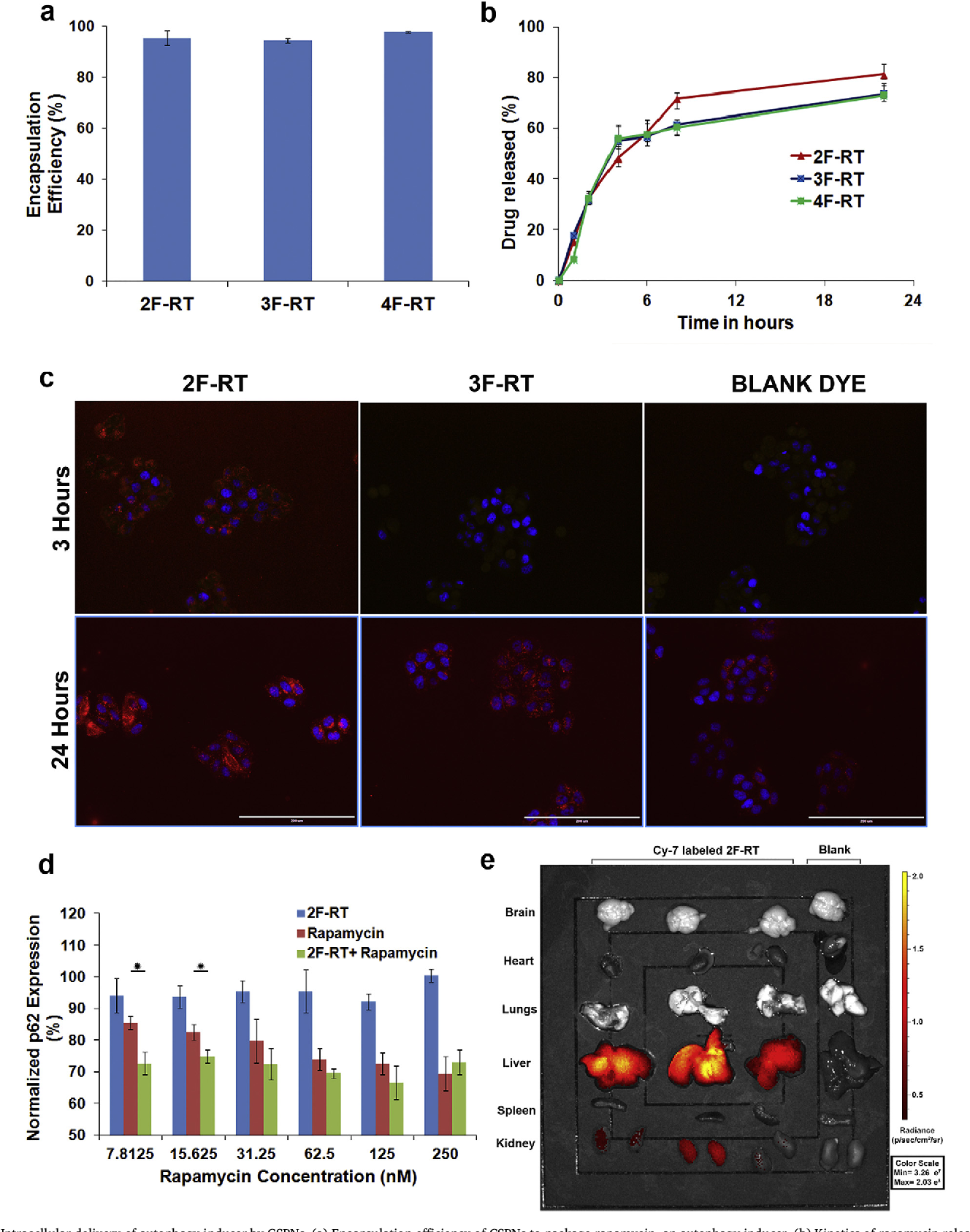 Figure 3 From Supramolecular Self Assembly Of Nanodrill‐like Structures