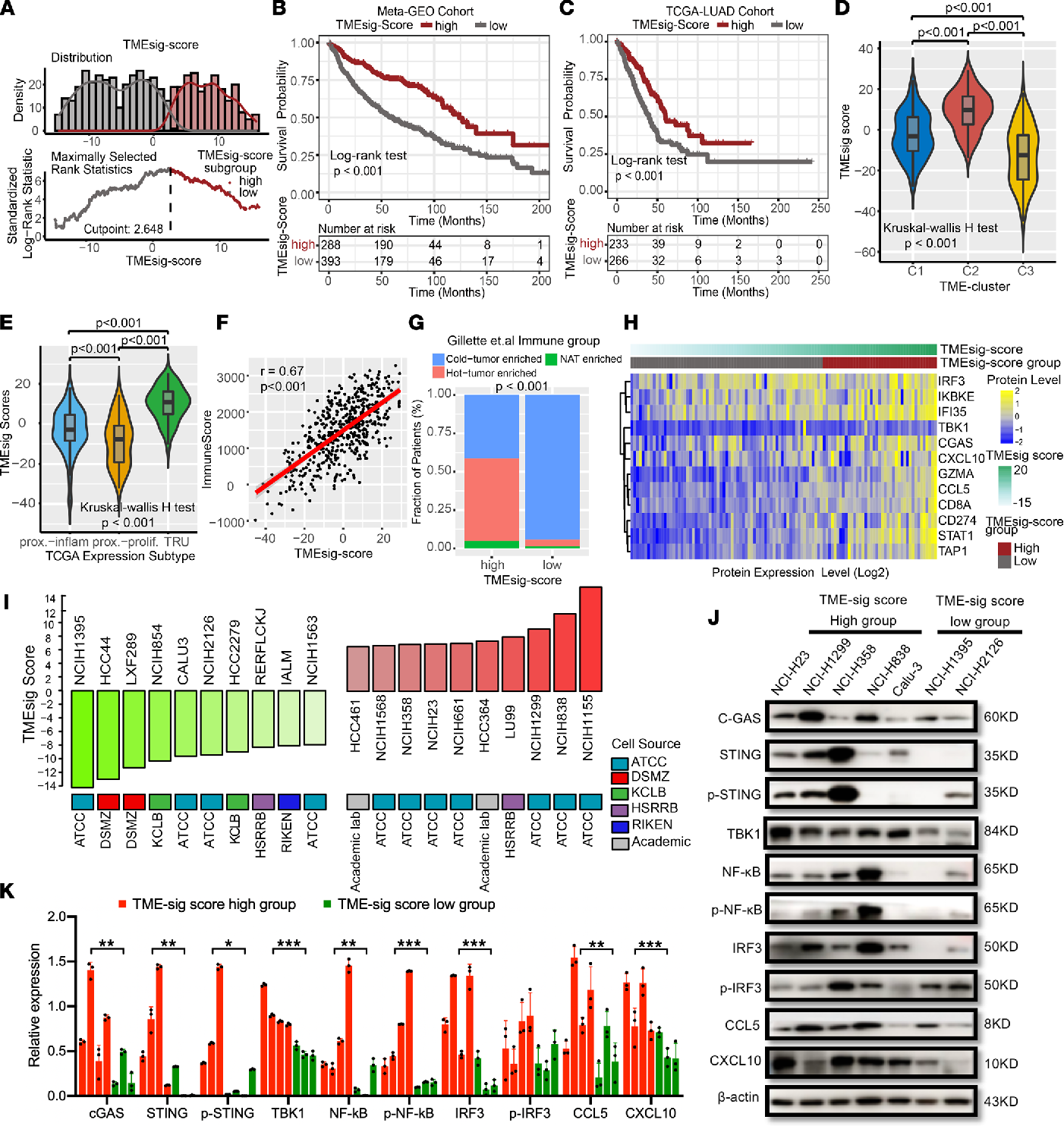 Figure 1 From Deciphering The Tumor Microenvironment Cellinfiltrating