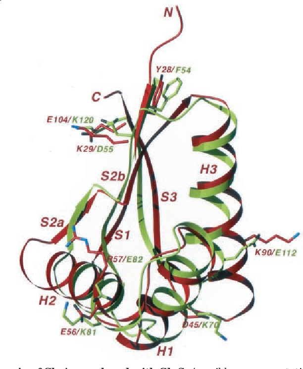 Figure 1 From Crystal Structure Of The Heterodimeric Complex Of The