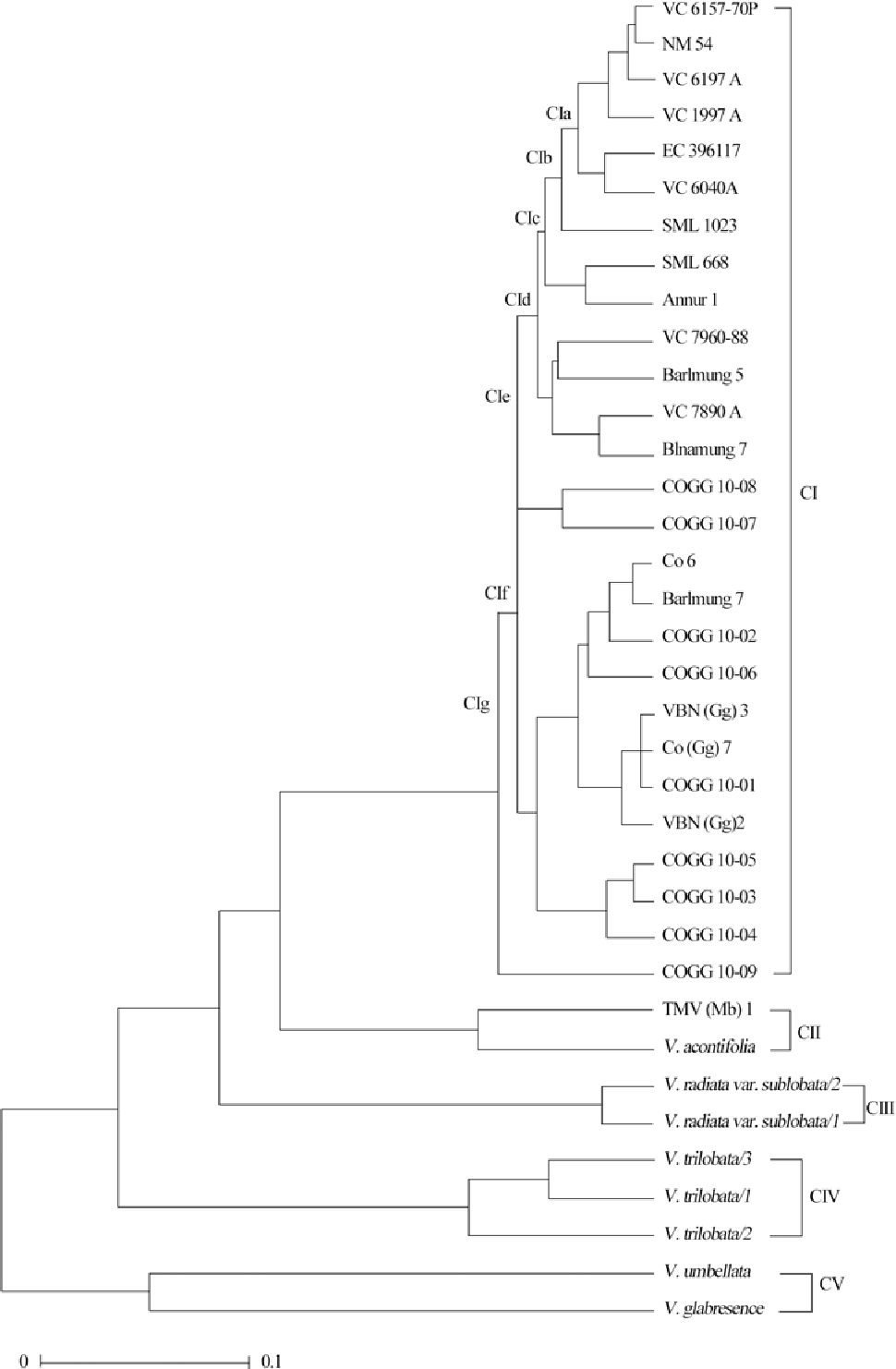 Table 1 From Cross Species Amplification Of Adzukibean Derived