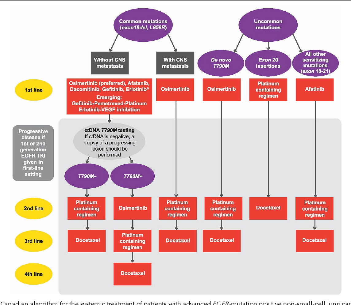 Pdf Canadian Consensus A New Systemic Treatment Algorithm For