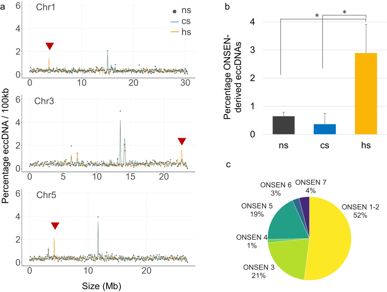 Figure 2 From Single Molecule Long Read Eccdna Sequencing Reveals