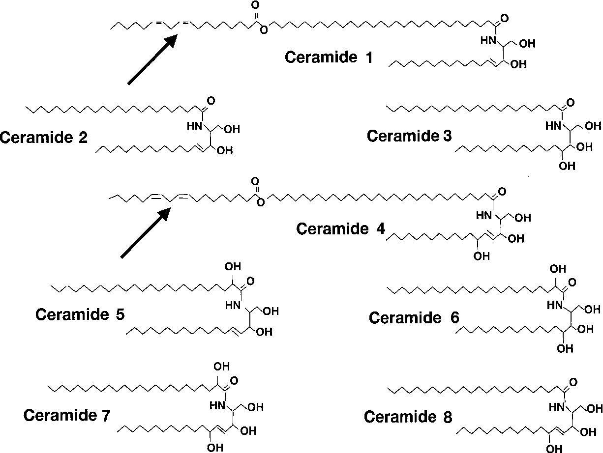 Figure 1 From Phase Behavior Of Lipid Mixtures Based On Human Ceramides