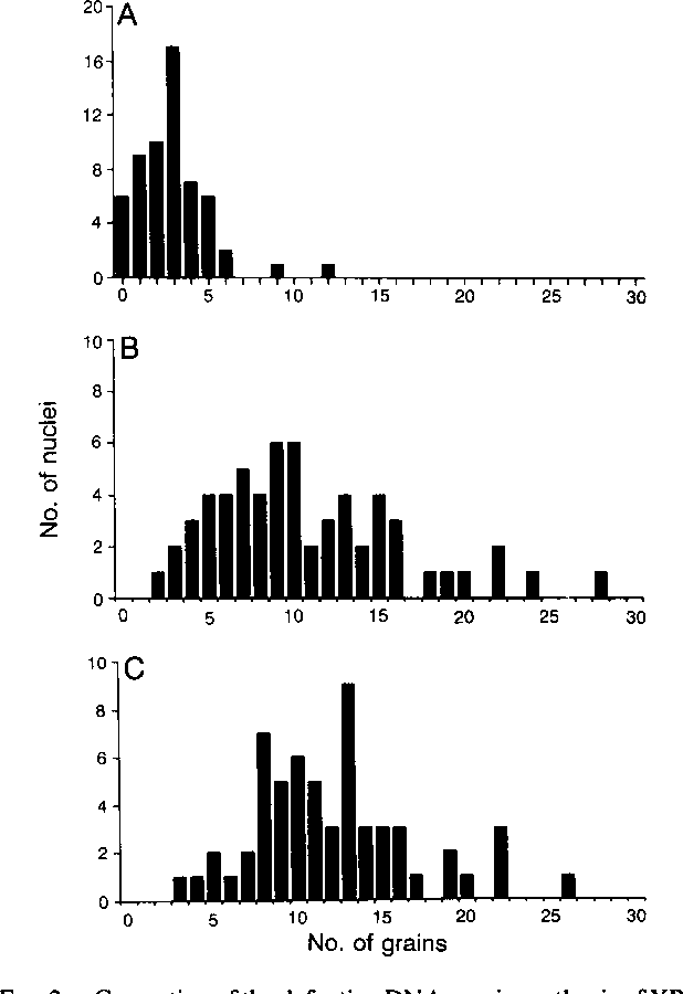 Figure 1 From Correction Of Xeroderma Pigmentosum Complementation Group