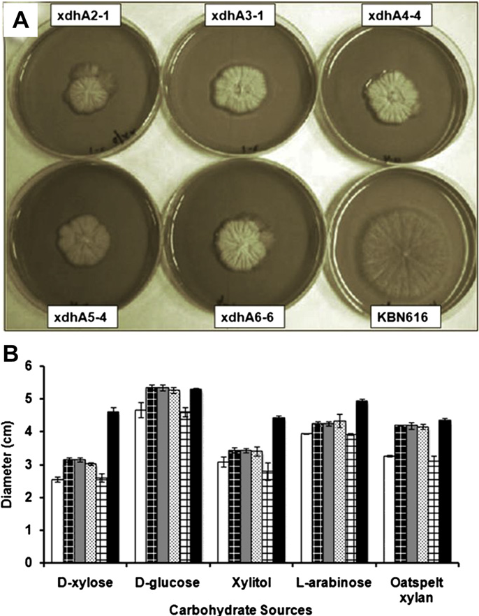 Figure 1 From Xylitol Production By Nad Dependent Xylitol