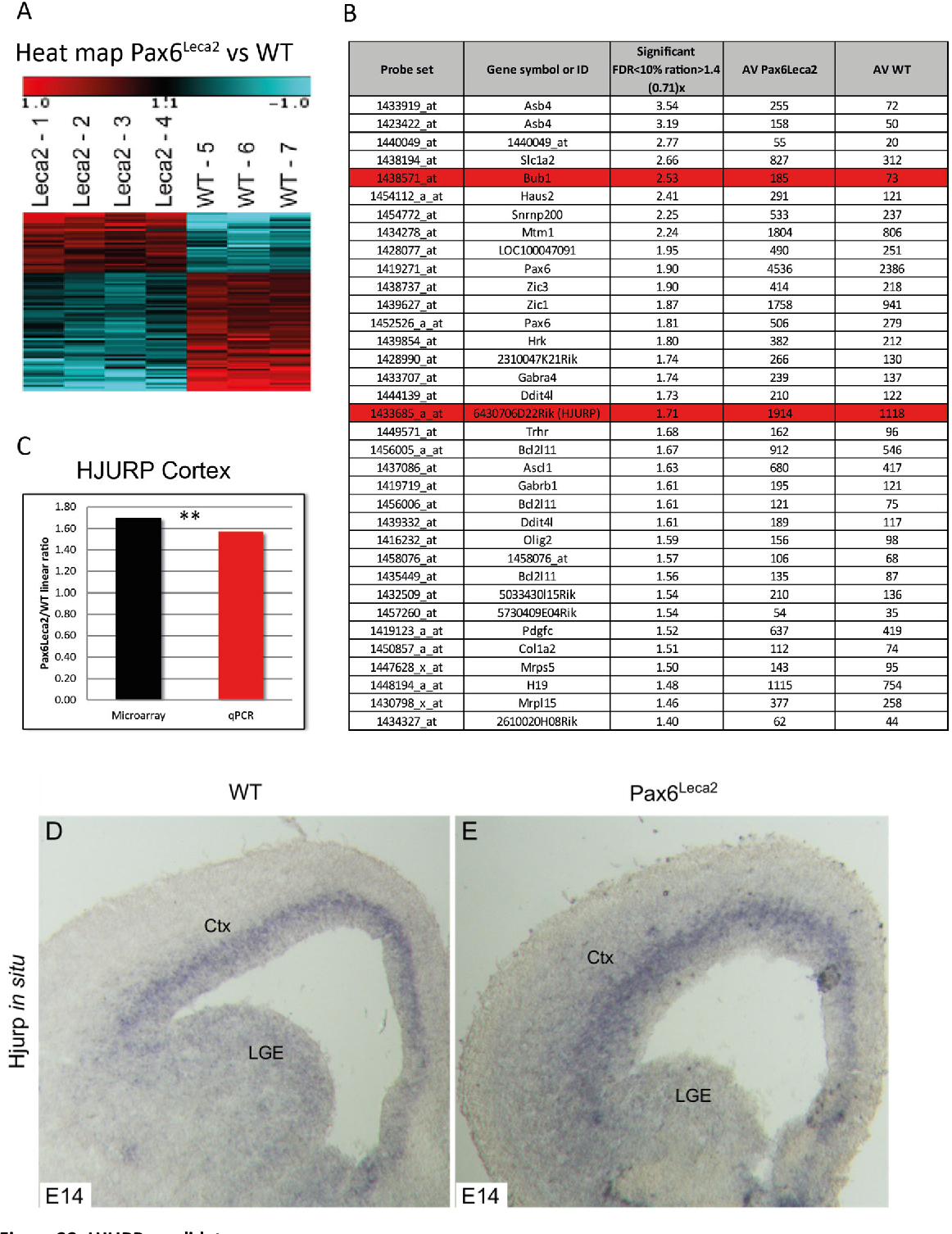 Figure 3 From Transcription Factor Pax6 Regulates Cell Cycle