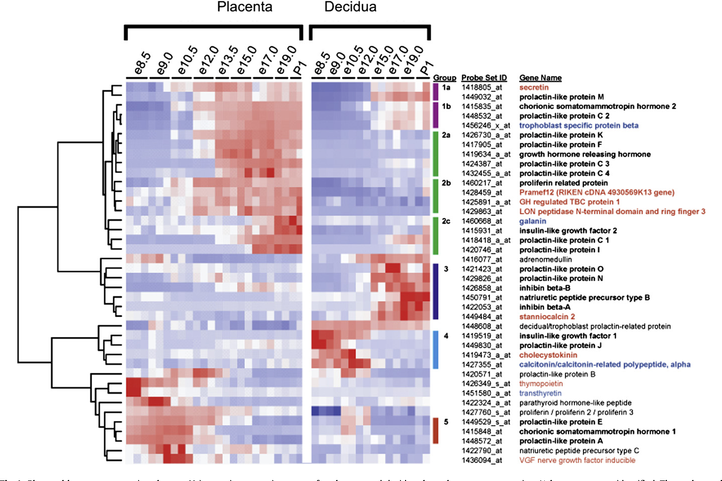 Figure 1 From Global Hormone Profiling Of Murine Placenta Reveals