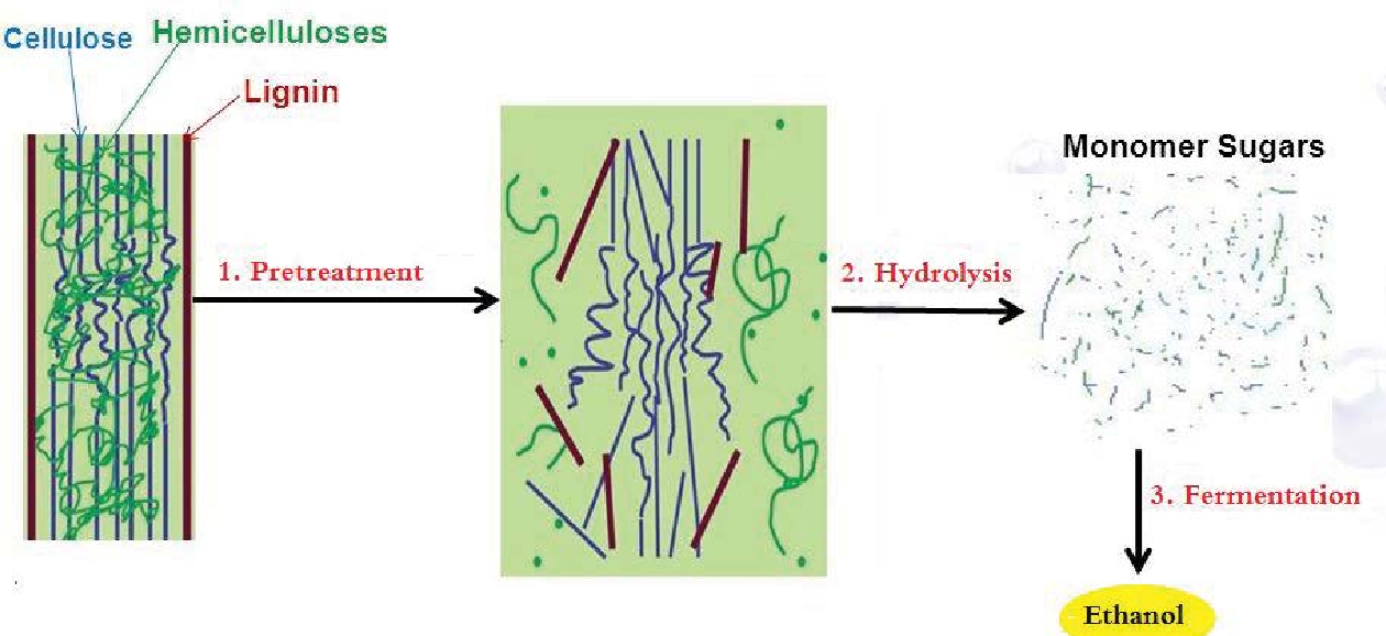 Figure 1 From Recent Status On Enzymatic Saccharification Of