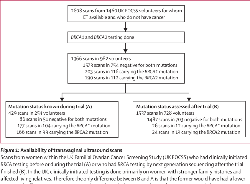 Figure 1 From The Sex Hormone System In Carriers Of Brca12 Mutations