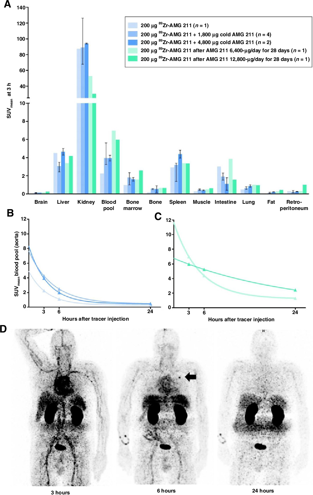 Figure 1 From 89zr Labeled Bispecific T Cell Engager Amg 211 Pet Shows