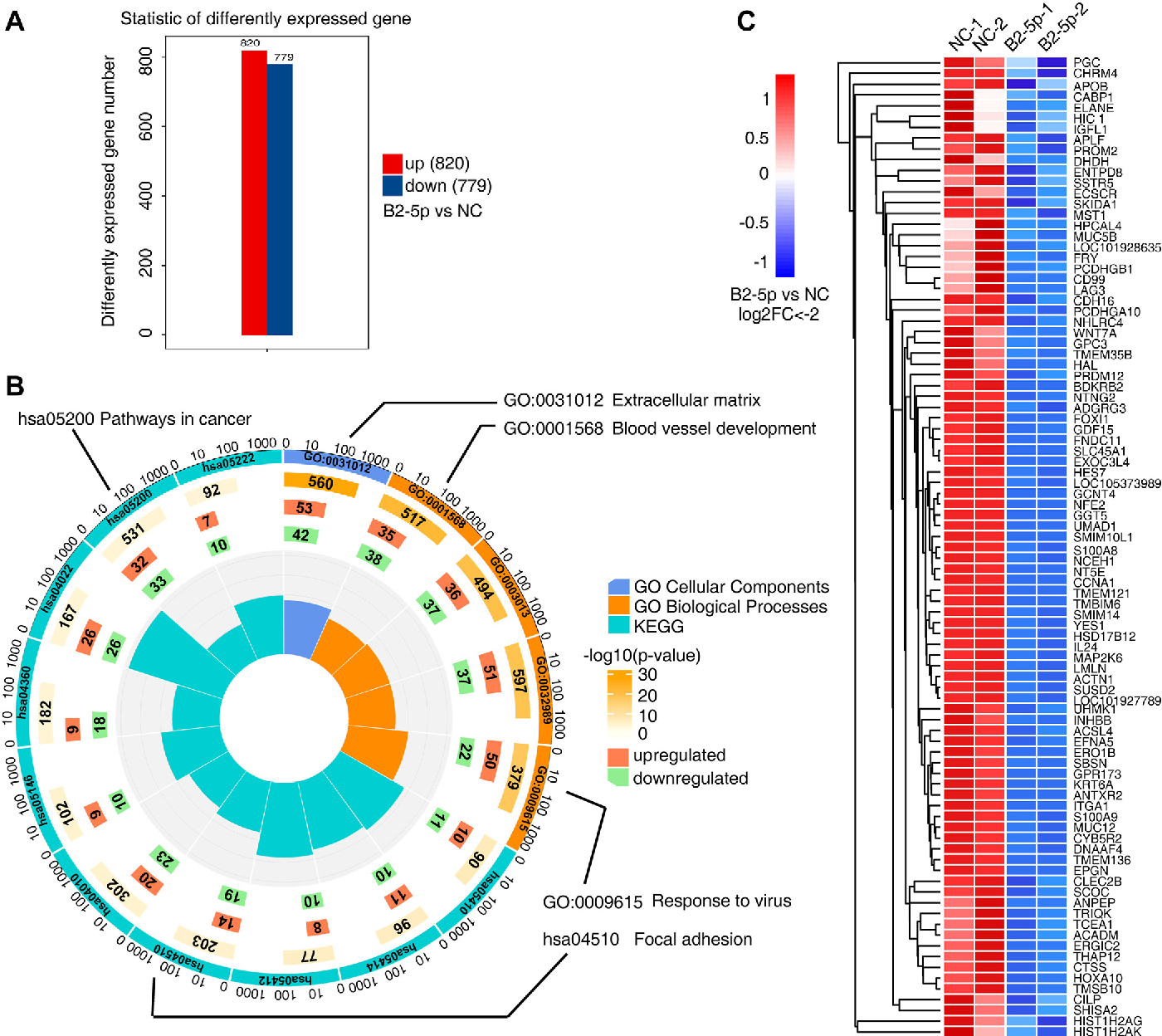 Figure 2 From Epsteinbarr Virus Microrna Mir Bart2 5p Accelerates