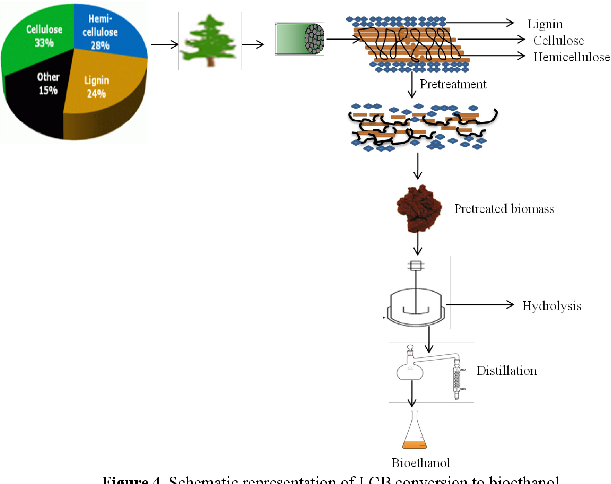 Table 1 From Conversion Of Lignocellulosic Biomass To Bioethanol An