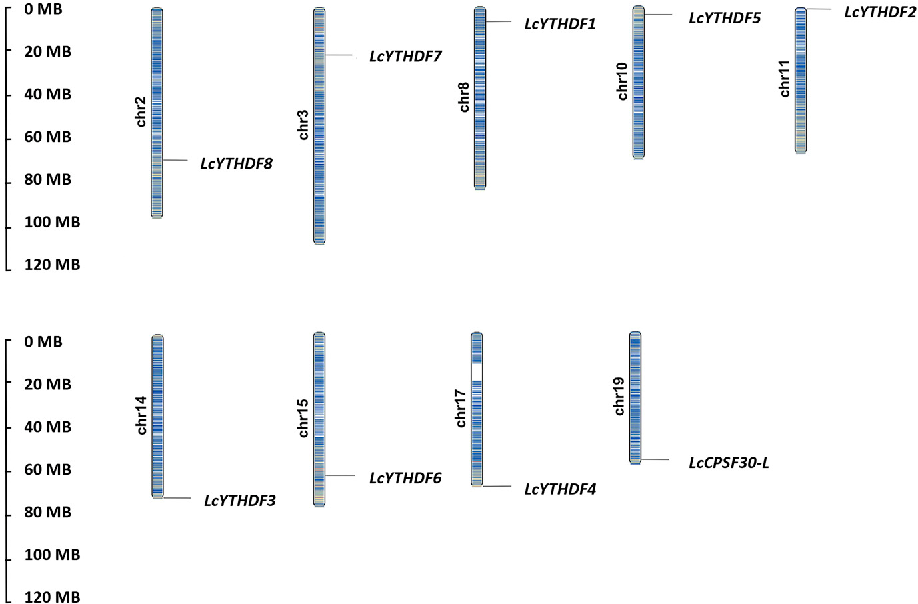 Figure 2 From Genome Wide Identiﬁcation And Characterization Of The Yth