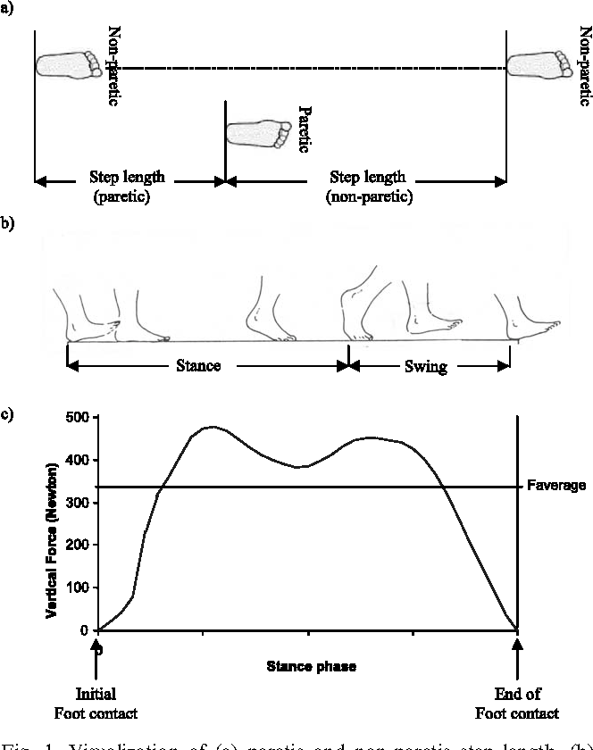 Symmetry In Vertical Ground Reaction Force Is Accompanied By Symmetry