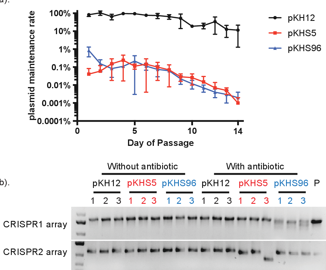 Figure 1 From Deep Sequencing Analysis Of Crispr Escaping Plasmid