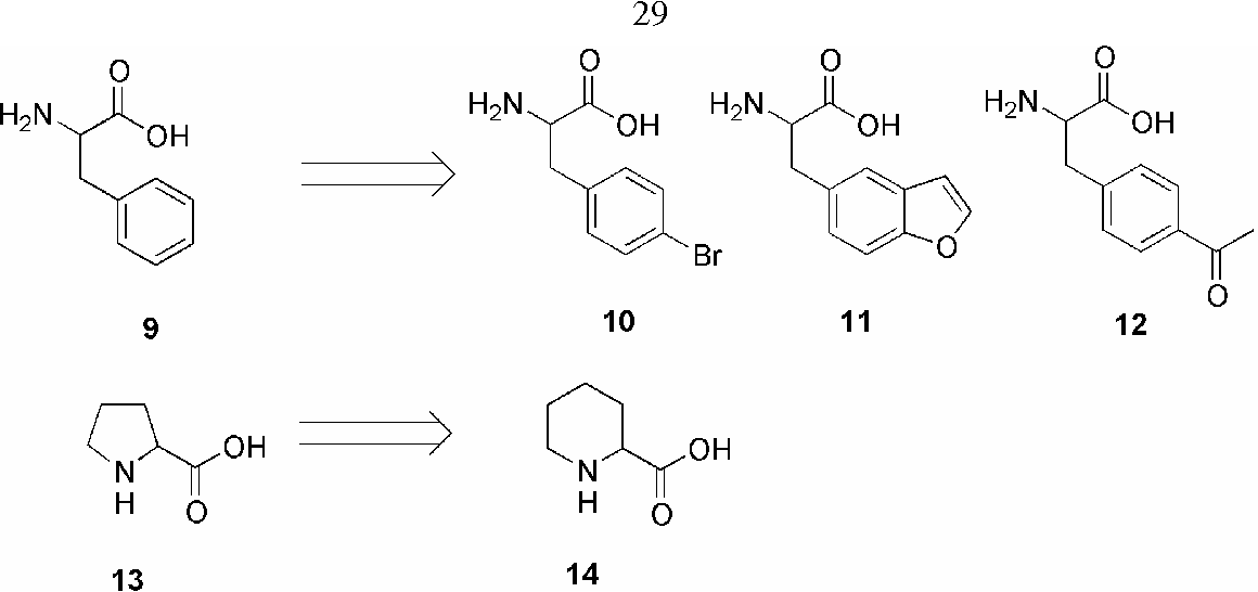 Figure 2 From Non Canonical Amino Acids In Protein Engineering