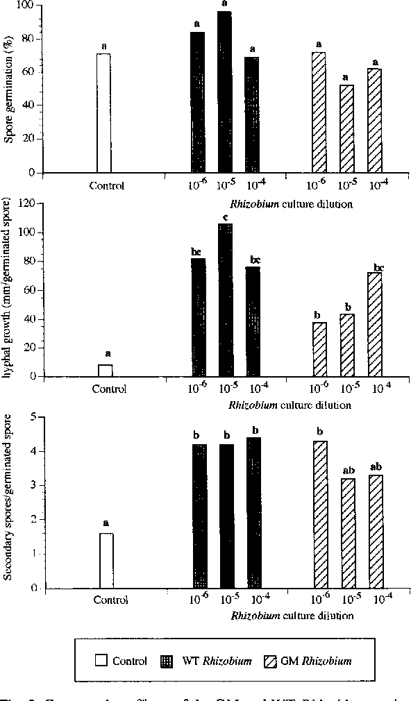 Figure 1 From Impact Of A Genetically Modified Rhizobium Strain With