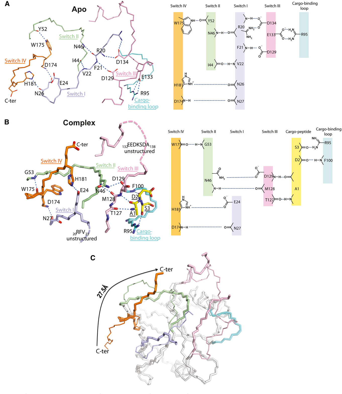 Figure 1 From How Vacuolar Sorting Receptor Proteins Interact With