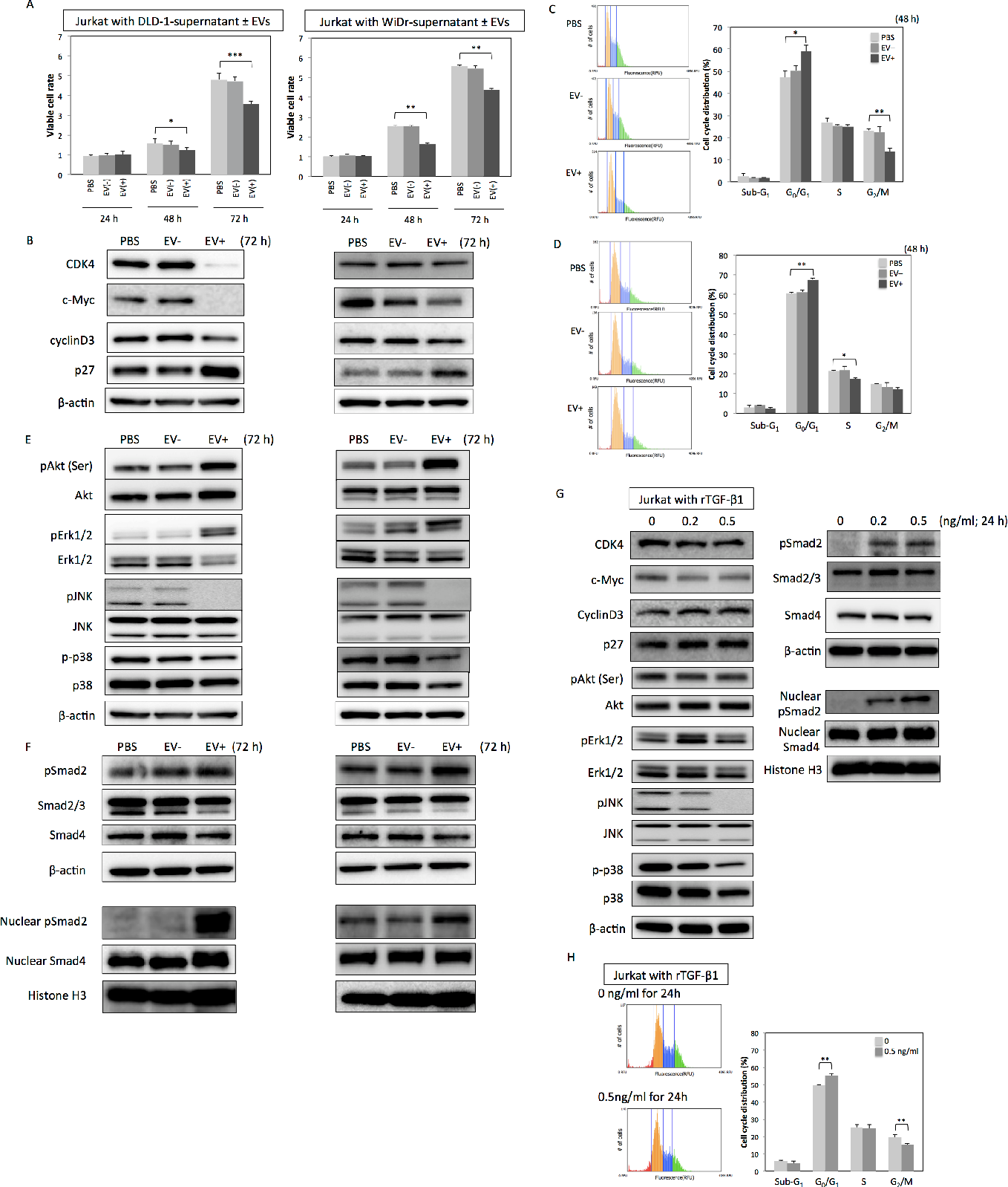 Figure 1 From Colorectal Cancer Cell Derived Extracellular Vesicles