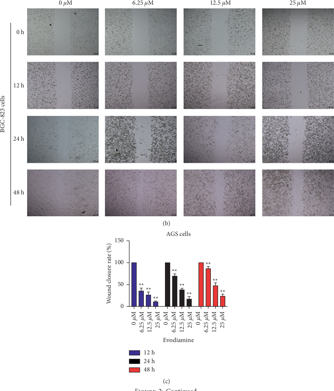 Figure 2 From Evodiamine Inhibits Gastric Cancer Cell Proliferation Via